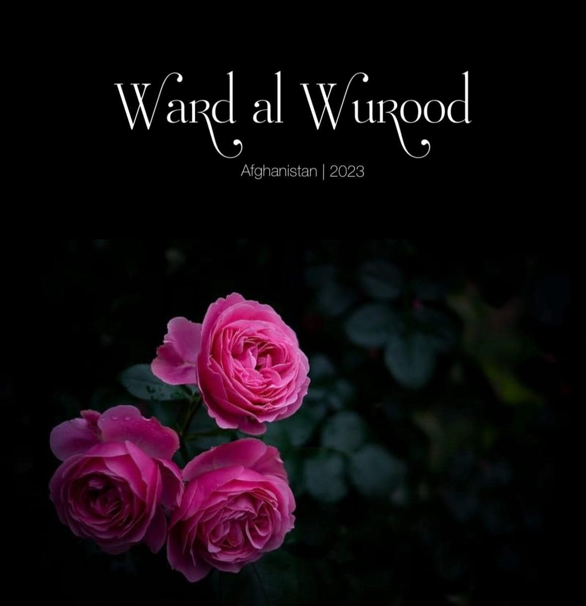 Ward al Wurood - Tabeer Oud
